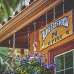 Next Level Pinball Museum: The Largest Arcade on the West Coast is Just ...